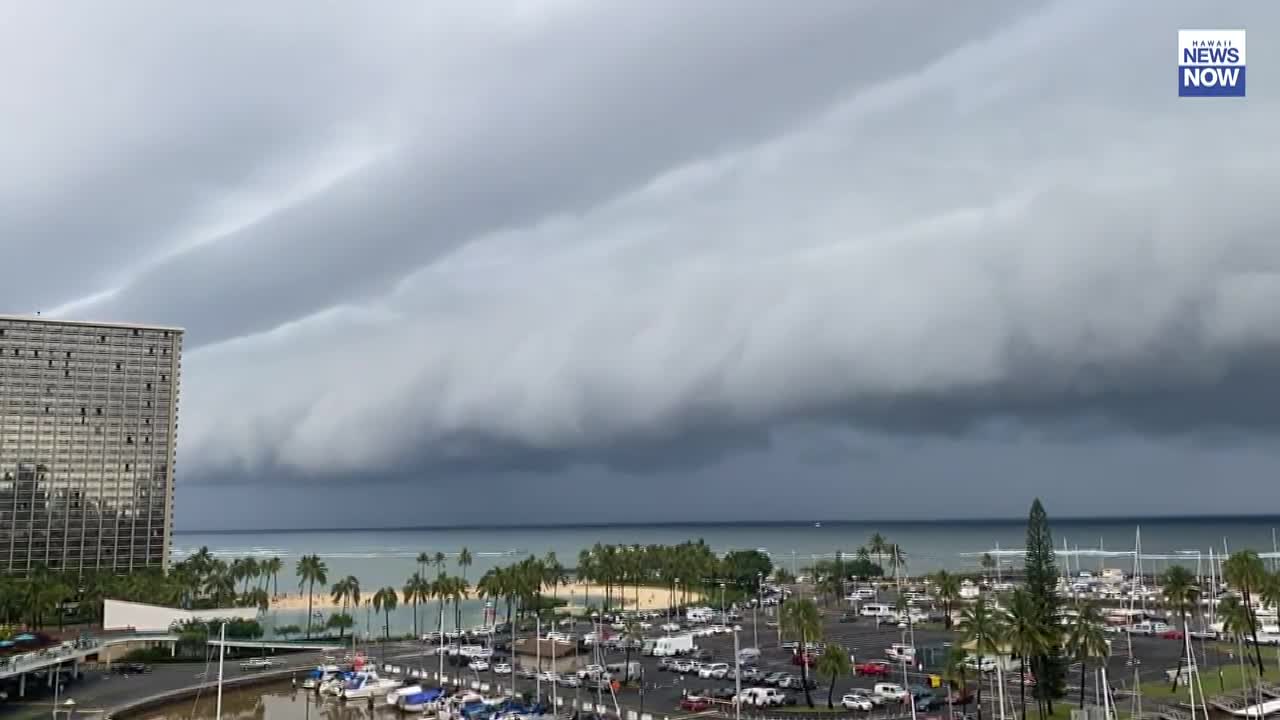 Honolulu Rain