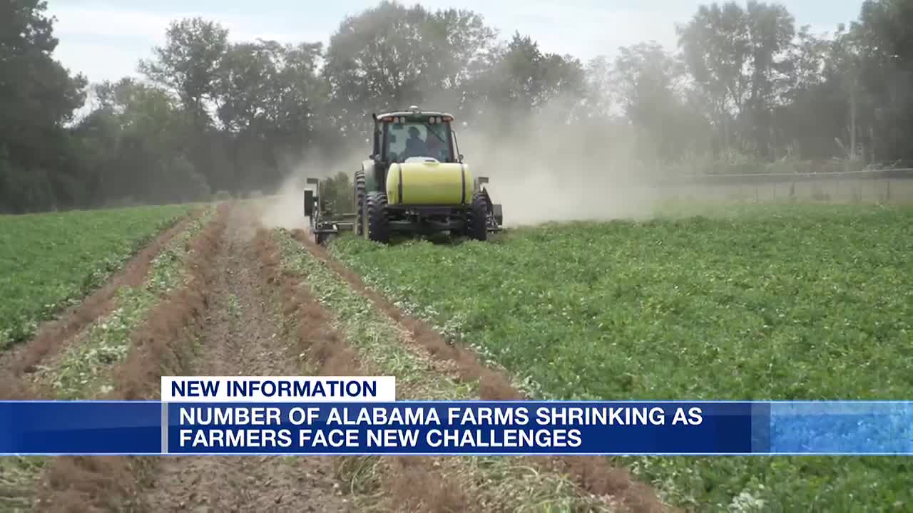 Alabama Farms