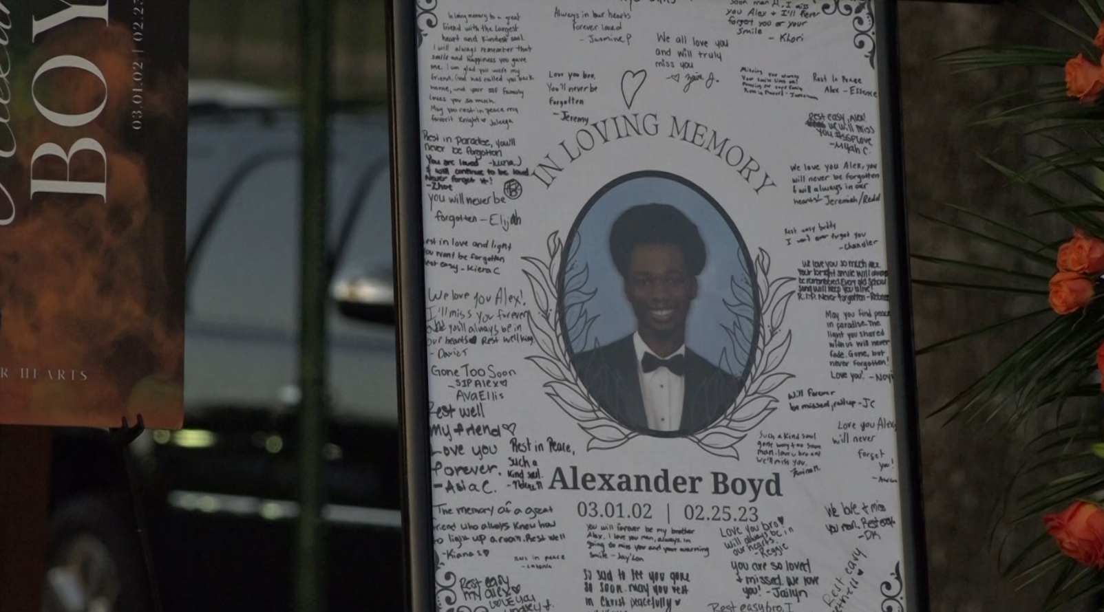 Noy Alexander Wallpaper