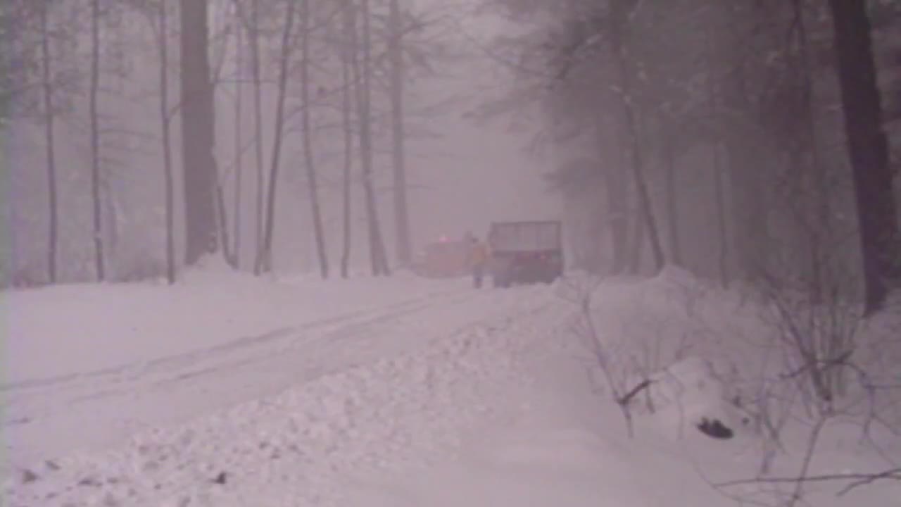 Snow Blizzard