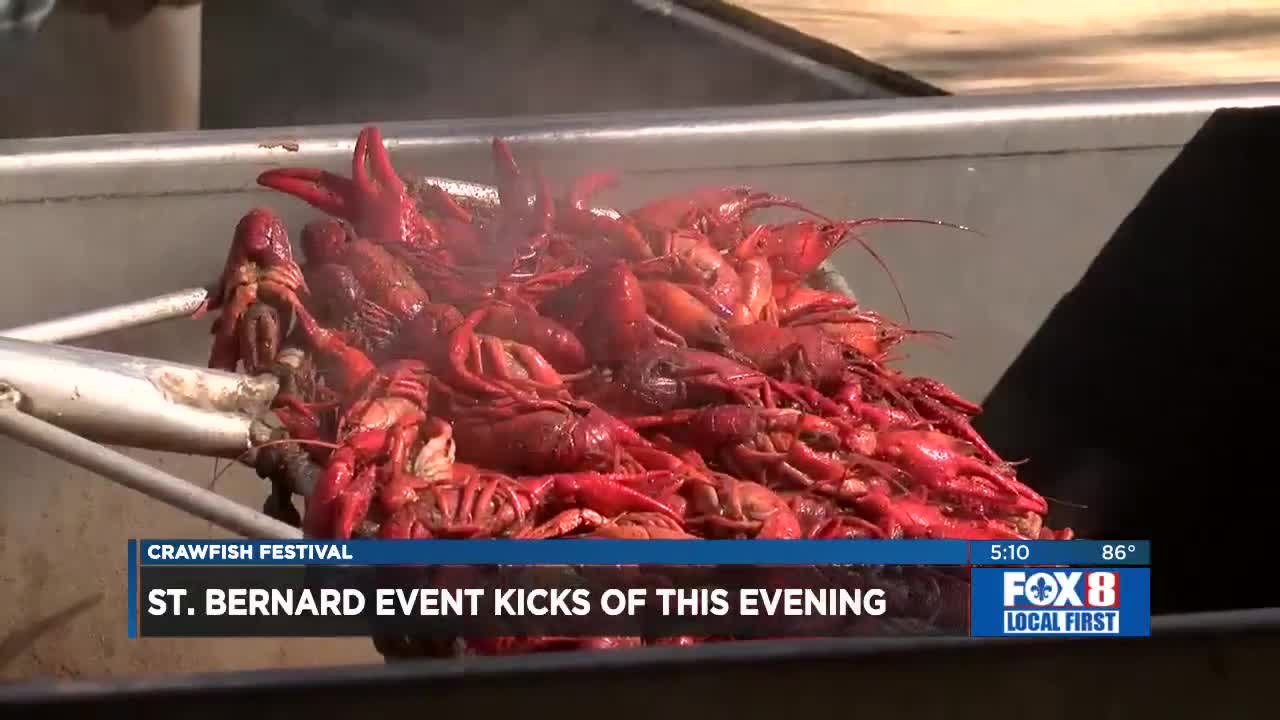 New Orleans Crawfish Festival