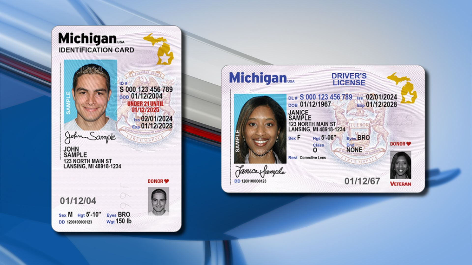 Michigan Drivers License