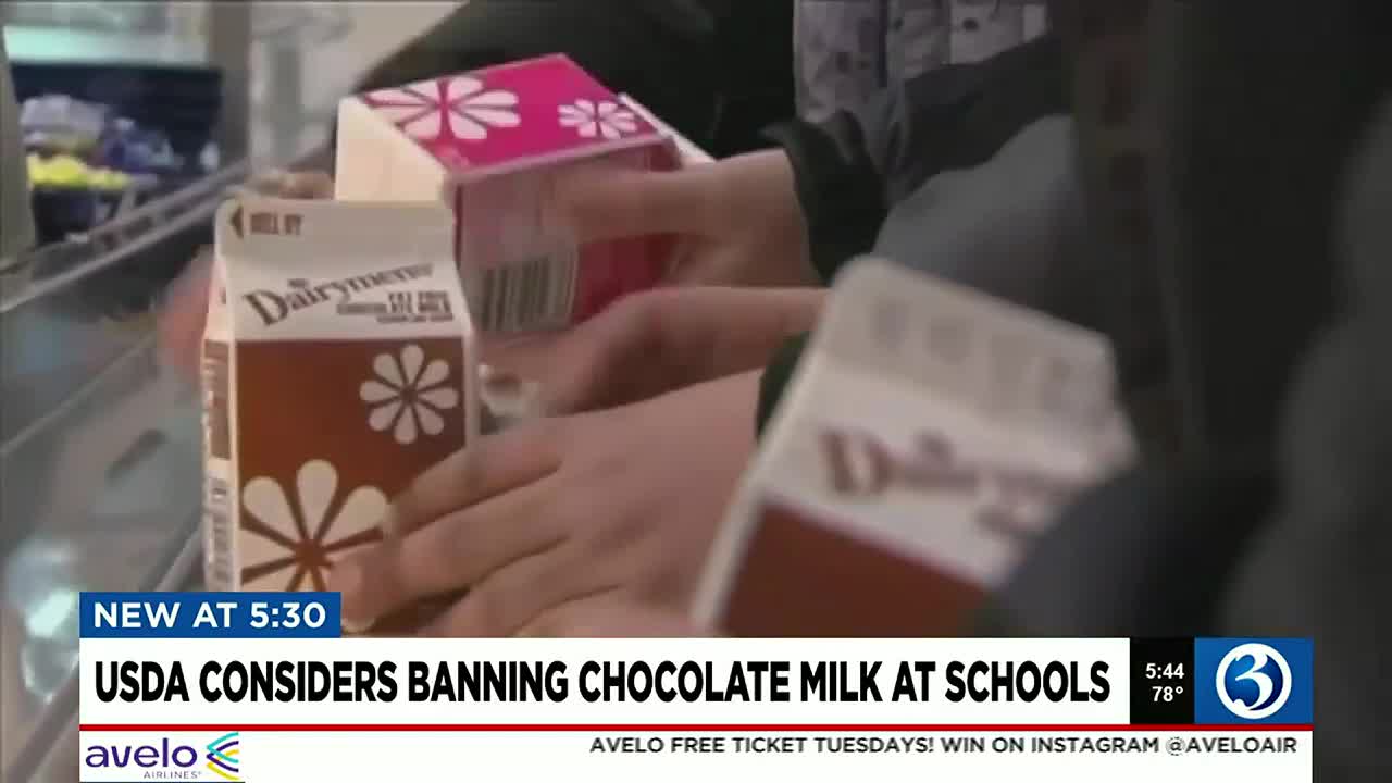 School Chocolate Milk