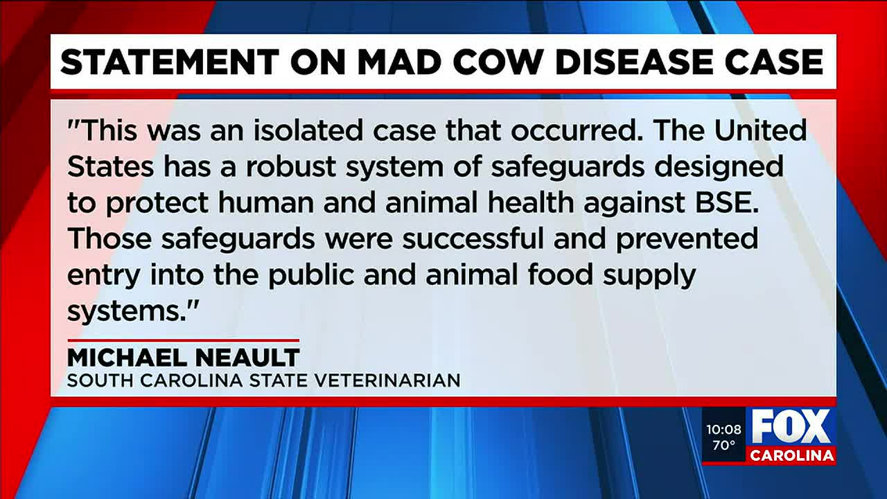 Mad Cow Virus