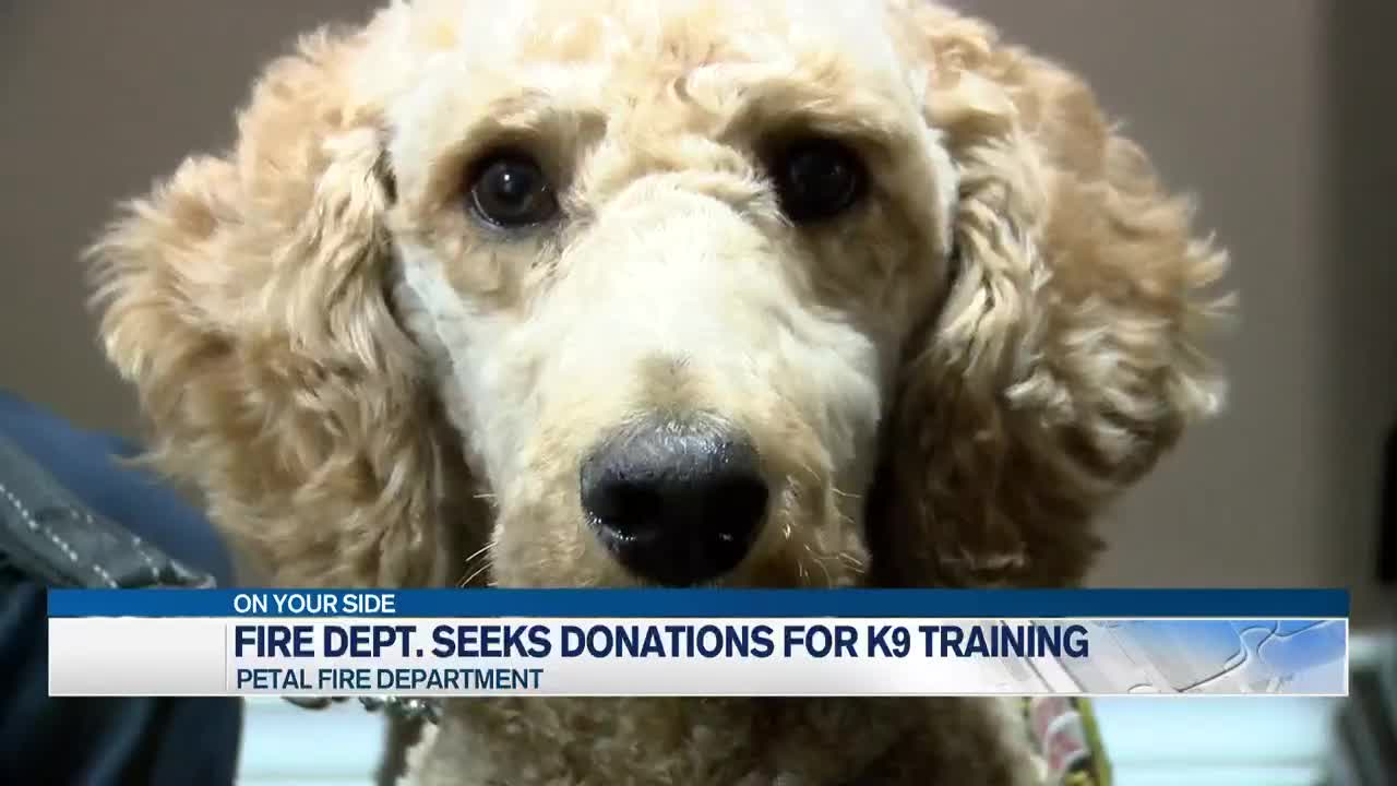 Can I Donate My Body To Cadaver Dog Training
