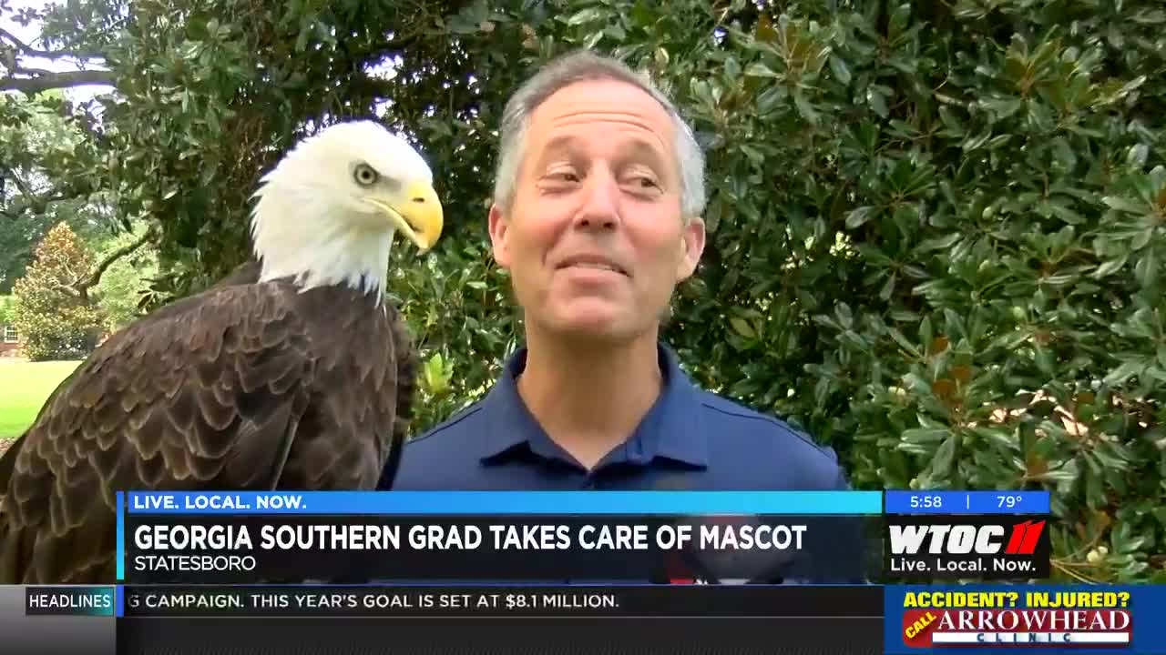 Wreaths & Door Hangers Georgia Southern Eagle Attachment Home Décor ...