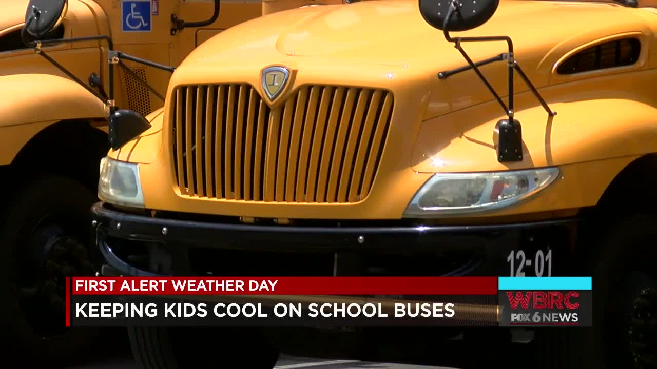 Cool School Buses