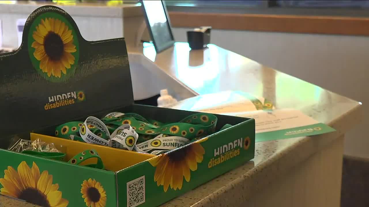 Sunflowers Found In Airports And What They Mean, 53% OFF