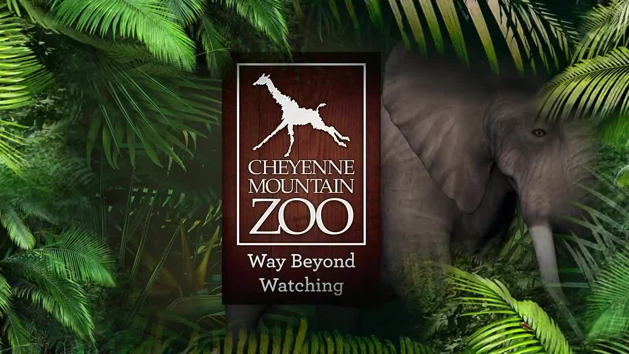 Cheyenne Mountain Zoo Logo