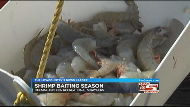 Shrimping Season