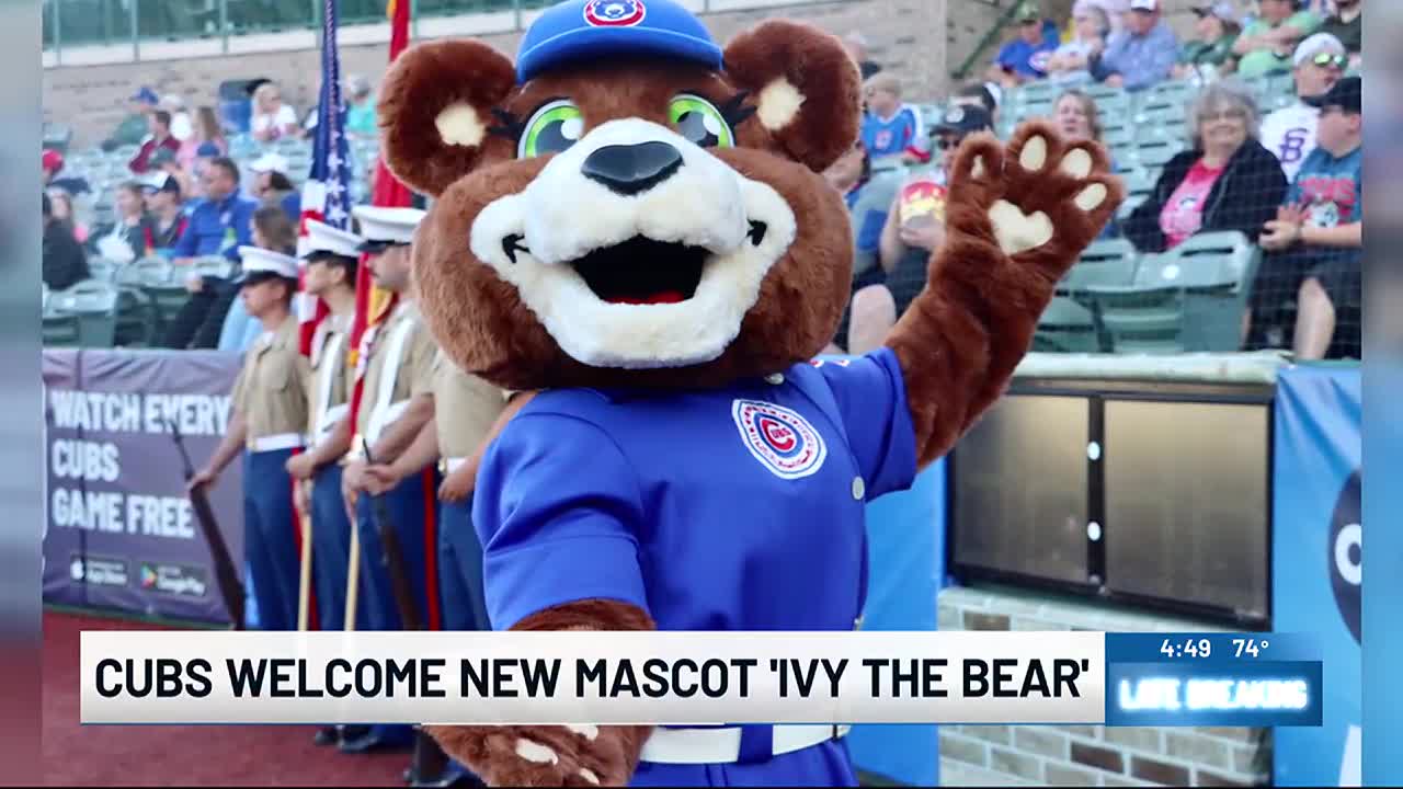 Cubs Mascot Name
