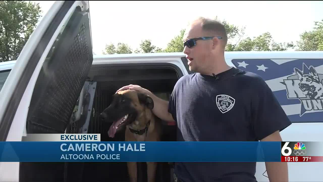 What Breed Of Dog Does The Us Secret Service Exclusively Use