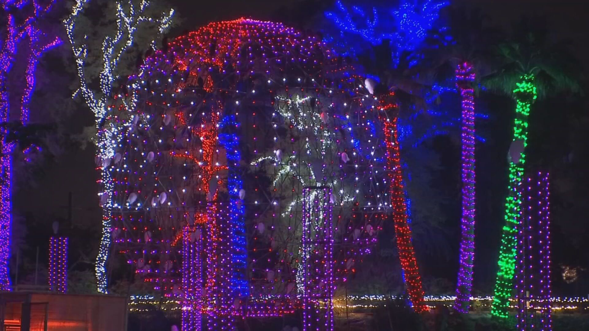 Phoenix Zoo Christmas Lights PHOENIX ZOO LIGHTS WALK THROUGH Events