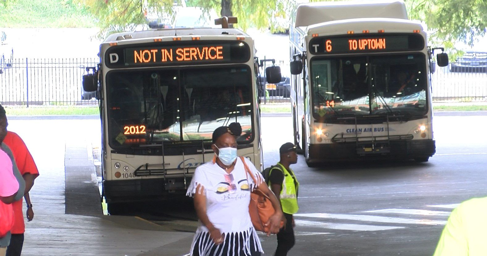 Charlotte Cats Bus Stop